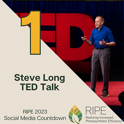 RIPE 2023 Top Social Media Post Countdown | RIPE